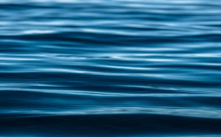 Top 10 Web Browsers to Use in 2025